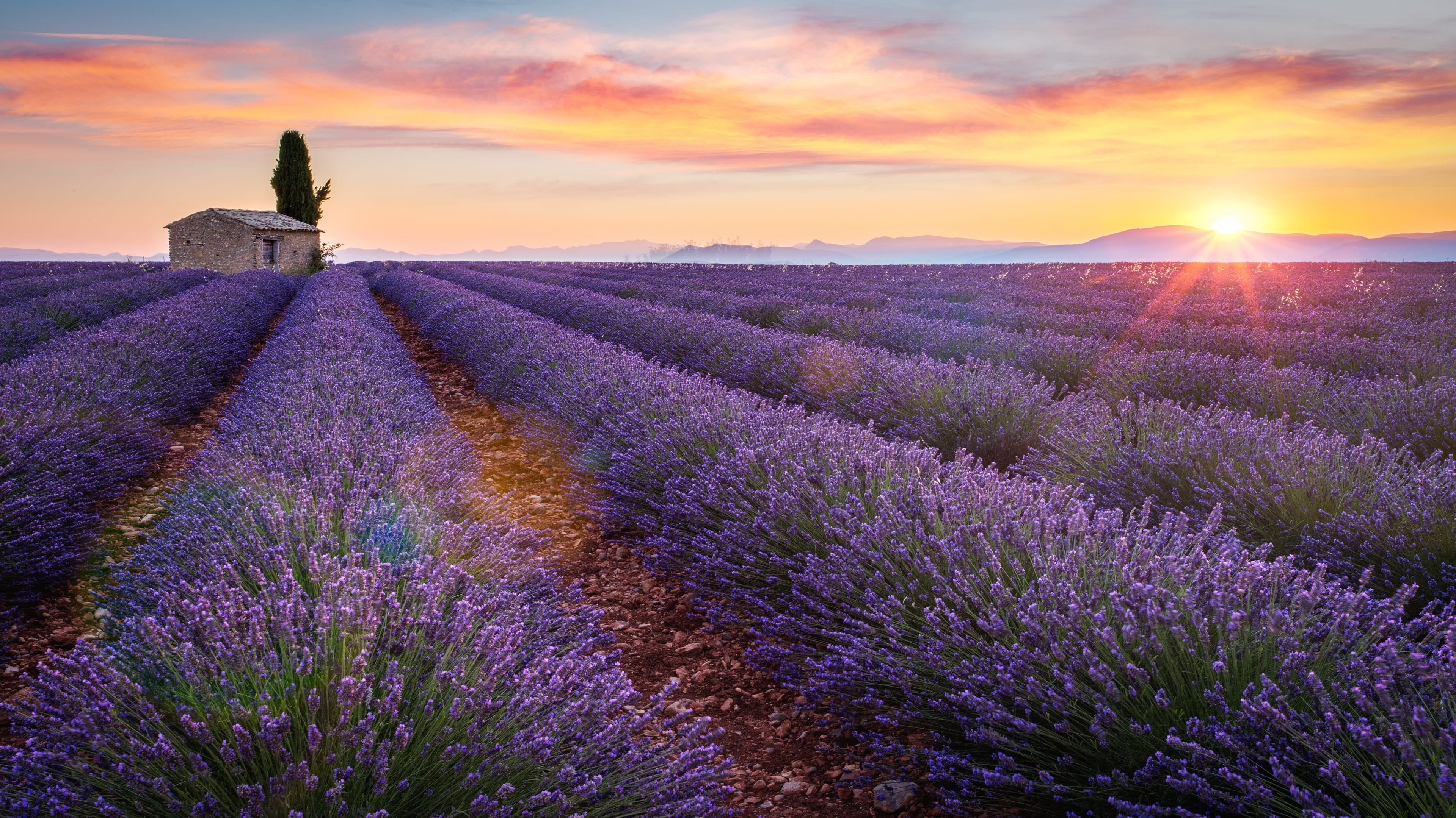 Cheap flights to Provence | Plane tickets 2026 ️ | easyJet