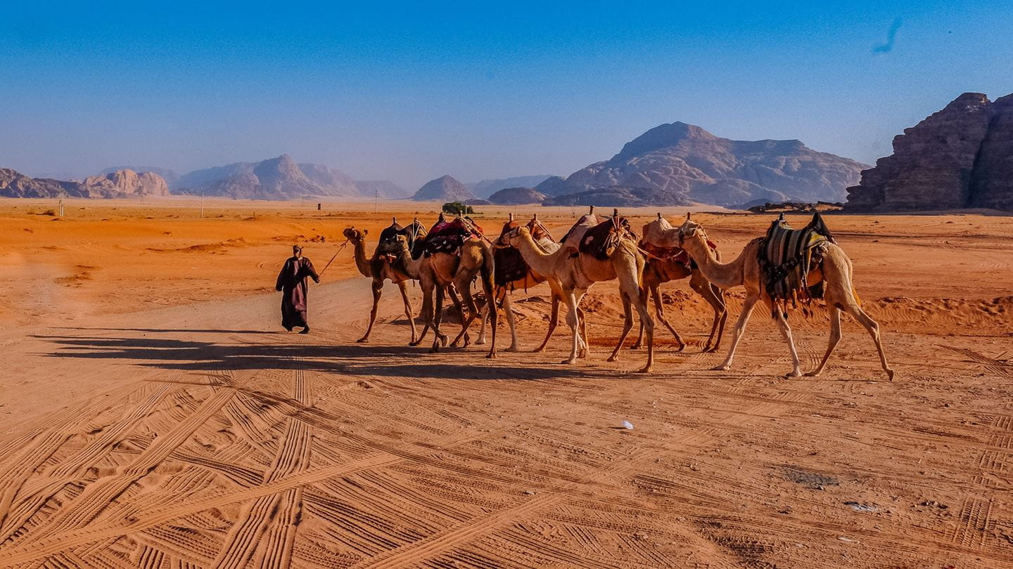 Cheap flights to Aqaba | Plane tickets 2026 ️ | easyJet