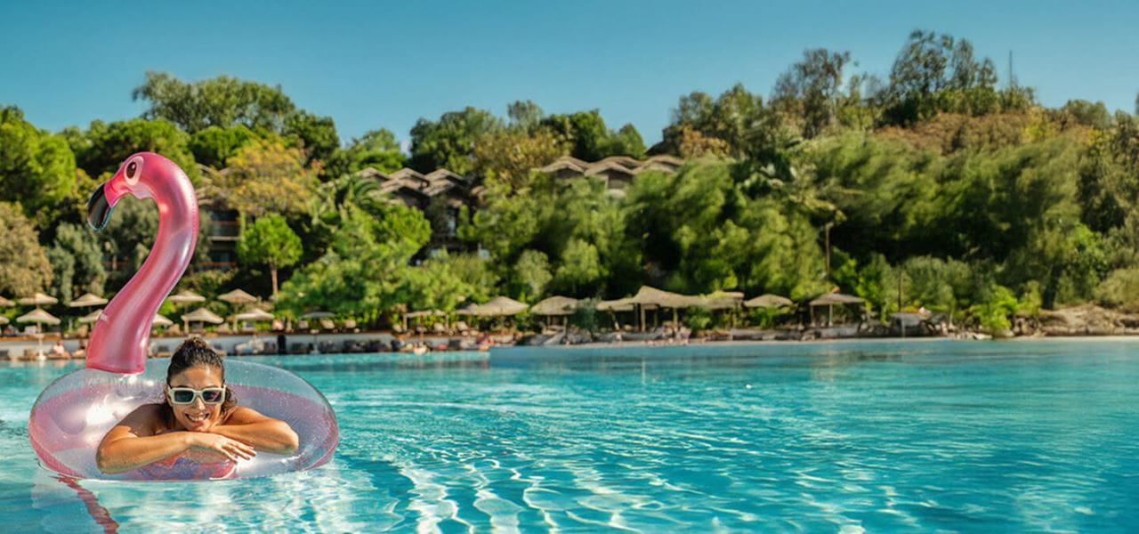 Flight Sales & Offers 2025 | Discounted Plane Tickets | easyJet